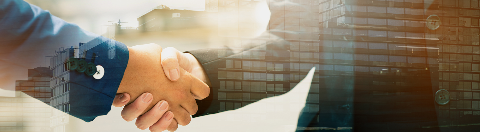 Joint Venture - Appellate Land Services